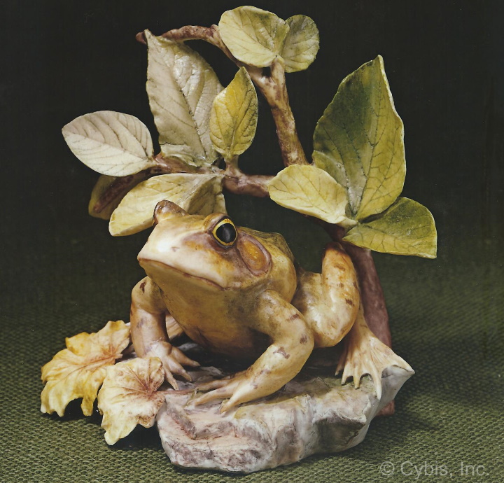 Into the Woods with Cybis – THE CYBIS ARCHIVE