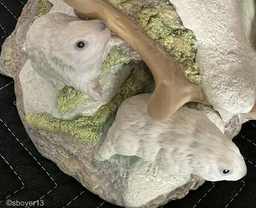 Into the Woods with Cybis – THE CYBIS ARCHIVE