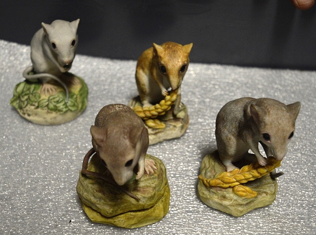 Into the Woods with Cybis – THE CYBIS ARCHIVE