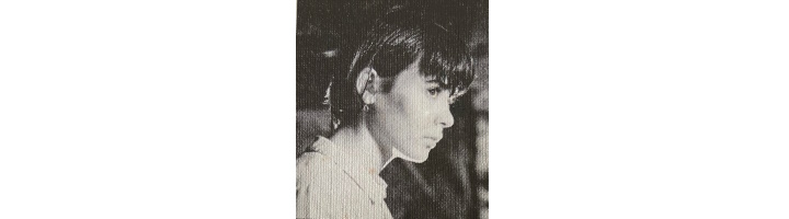 Cybis Artist Profile: Susan Clark Eaton – THE CYBIS ARCHIVE